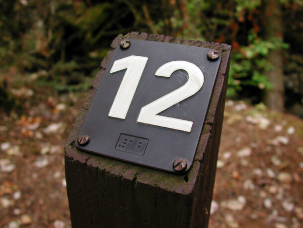 The 12 Top Posts of 2012