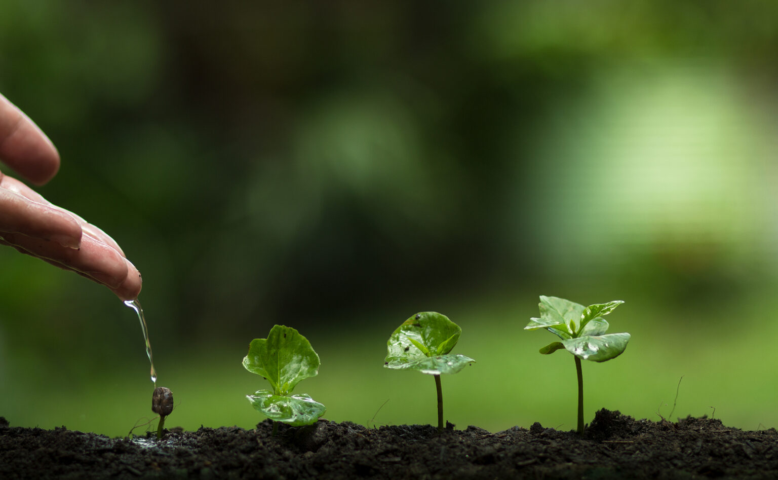 Help Them Grow or Watch Them Go