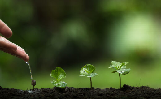 Help Them Grow or Watch Them Go